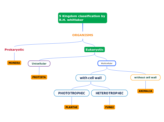 Kingdom Fungi Concept Map